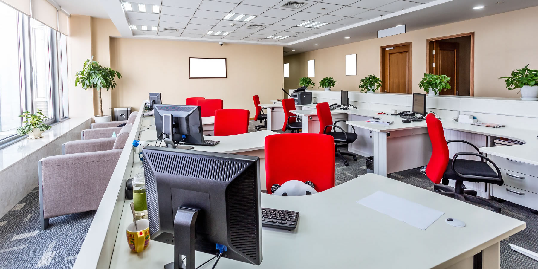 ErgoPro Online DSE Workstation Assessment System