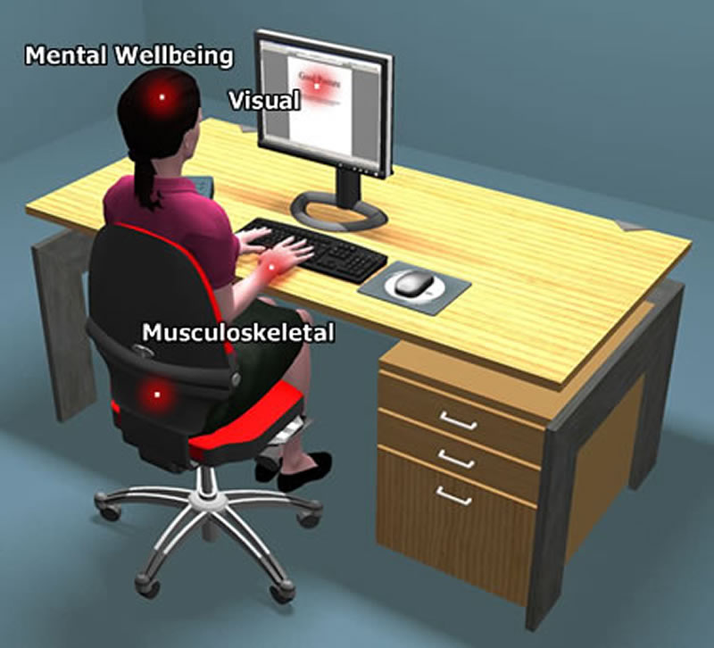 ErgoPro Online DSE Workstation Assessment System